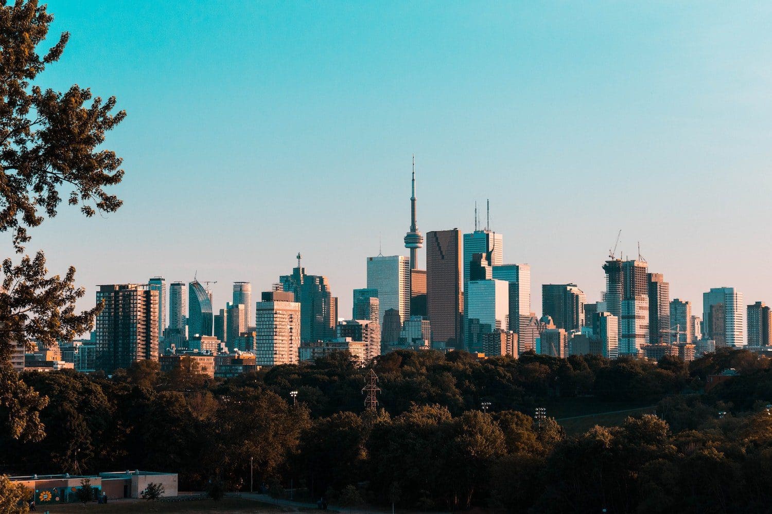 Our Top 5 Central Toronto Neighbourhoods for Young Professionals ...